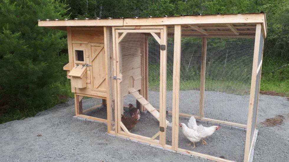 Nos Poulaillers | Poulailler De Ville